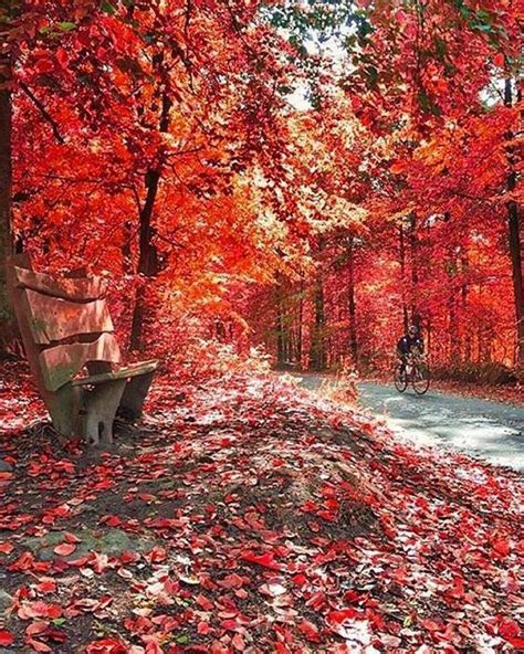 Do Copy Typing Writing Copy Pasting Data Entry By Sultansuleiman Fiverr