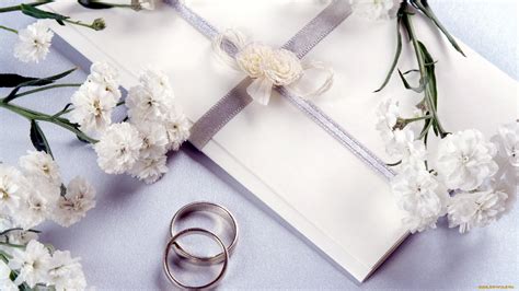 Красивый фон для свадьбы Zefirka Club фото и картинки