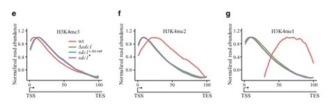 Altered Distribution Of H3k4 Methylation By Monomeric Set1c A Download Scientific Diagram