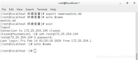 shell编程 数组与环境变量 shell 环境变量 数组 csdn博客