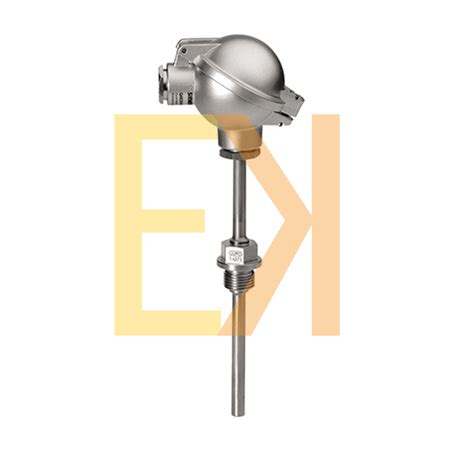 Temperature Sensor Siemens At Peggy Rios Blog