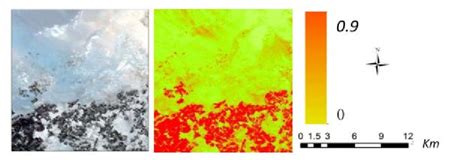 Vegetation Coverage Estimation Results Download Scientific Diagram