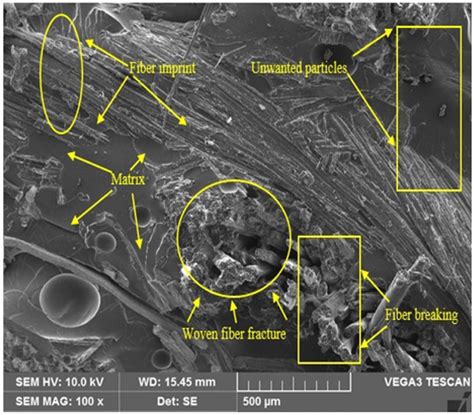 Sem Of Untreated Composite Specimen Download Scientific Diagram
