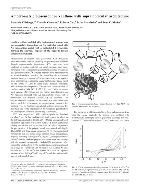 Amperometric Biosensor For Xanthine With Supramolecular Architecture