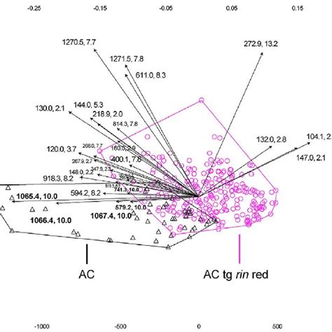 Weighted Correlation Network Analysis Wgcna Assists Identification Of Download Scientific
