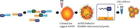 Schematic Colorimetric Method For Diagnosis Of Mers Cov Dna A Mgcl2 Download Scientific