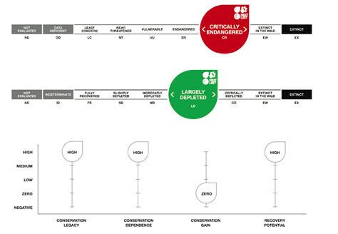 For Species In The Red Iucns New Green Status Signals Conservation Wins