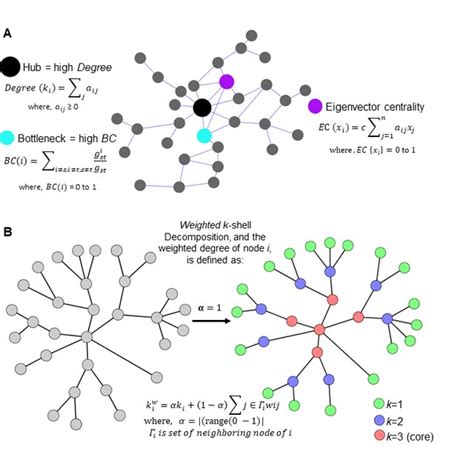 Biological Scale Free Network Topology Represented By Nodes Vertices Download Scientific