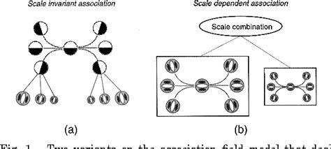 Figure 1 From Spatial Frequency Tuning Of Visual Contour Integration