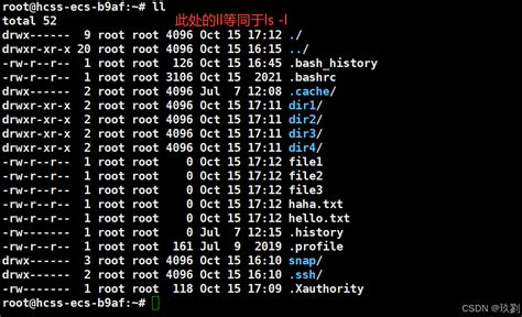 初始linux之指令（一） Csdn博客