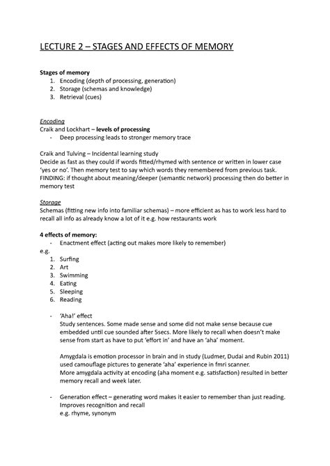 Lecture 2 Stages And Effects Of Memory Lecture 2 Stages And Effects Of Memory Stages Of