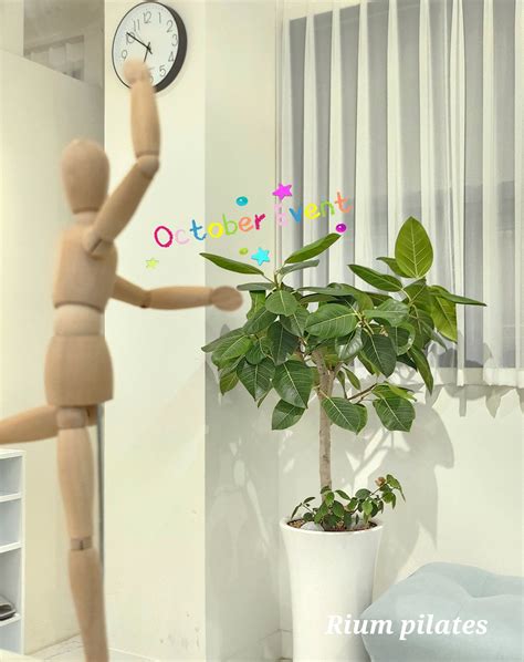 경기광주필라테스 경기광주기구필라테스 양벌동 기구필라테스 맨즈필라테스 양벌필라테스 리움필라테스양벌점 ⠀ 다음주에 10월 이벤트가 마감됩니다 ⠀ 개인레슨 8회에 몸의