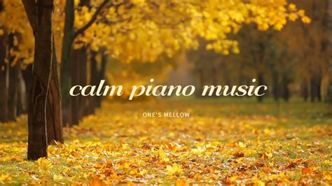 낙엽이 흩날리는 가을 바람 소리와 함께 듣는 피아노연주곡 Feat 현악기 YouTube Music