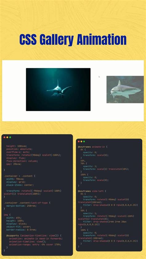 Css Gallery Sliding Animation Css Positivity Drop Shadow