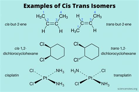 cis and trans isomers