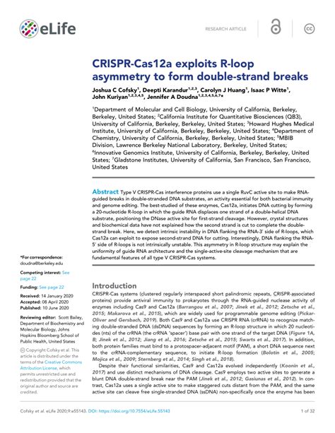 pdf crispr cas12a exploits r loop asymmetry to form double strand breaks