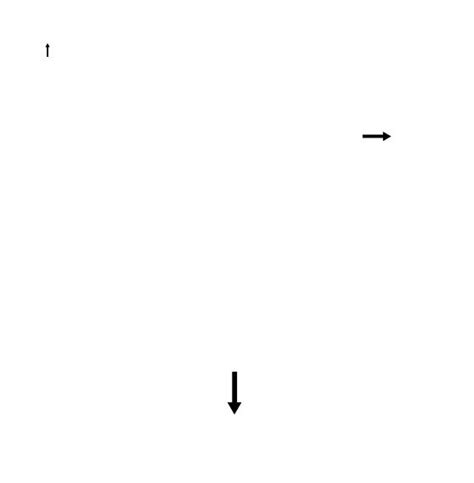 Qgis Scaling Vector Field Marker Arrow Based On Attribute Geographic Information Systems
