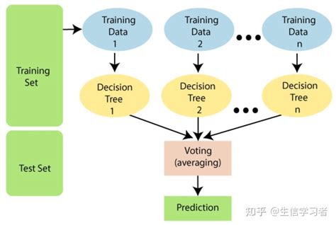 r语言机器学习算法实战系列（四）随机森林算法 shap值 random forest 知乎