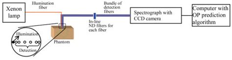 Diagram Of Diffuse Reflectance Spectroscopy System For OP Measurement Download Scientific Diagram