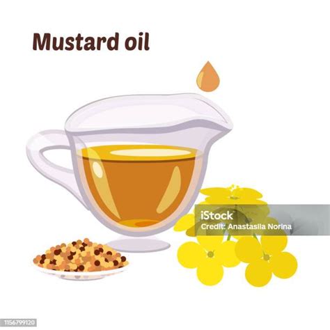 둥근 병에 겨자 기름 천연 야채 천연 유기농 건강에 좋은 오일의 투명한 식용 액체 모든 웹 디자인에 대한 만화 플랫 스타일 건강한 생활방식에 대한 스톡 벡터 아트 및 기타