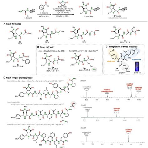 One Pot Three Component Integration A One Pot Reaction Using Free Download Scientific