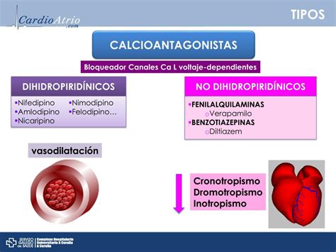 Ppt Calcioantagonistas E Ivabradina Powerpoint Presentation Free