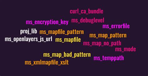 state of mapserver 2021