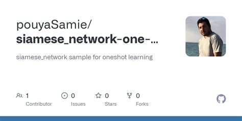 github pouyasamie siamese network one shot learning siamese network