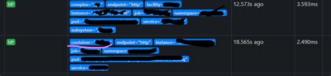 meta label not showing prometheus server prometheus monitoring system
