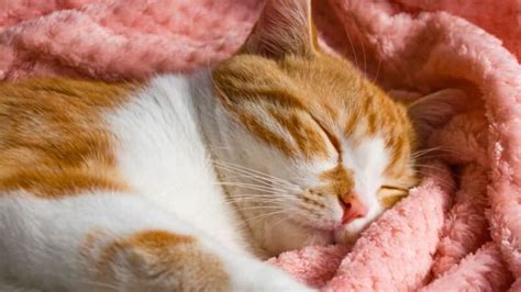 All Power Automate Text Functions With Examples