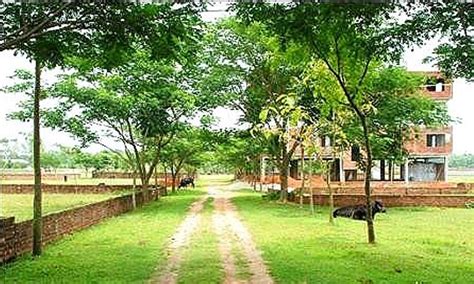 5 Katha Plot At Ashulia Model Town Savar Dhaka Amin Mohammad Lands