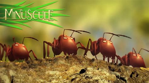 Miniscule