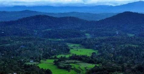 Buffer Zone Map Riddled With Errors Glaring Bloopers Here