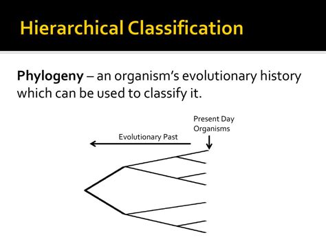 Biology Eoc 10 Day Review Ppt Download