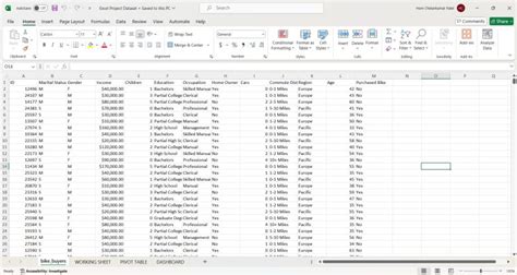 hom patel on linkedin excel dataanalysis datacleaning datamodeling