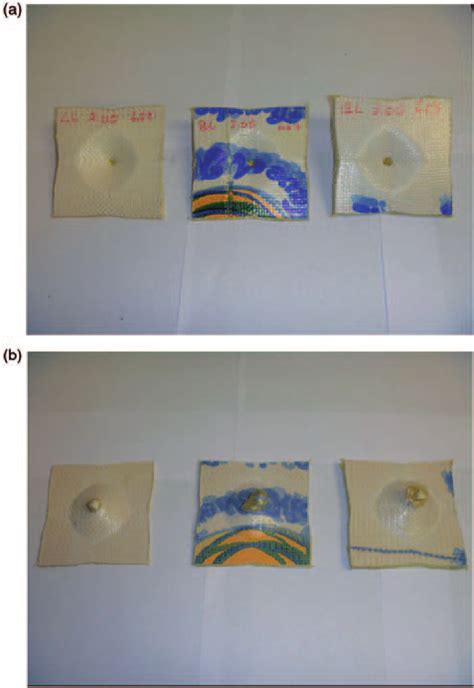 Comparison Of Maximum Force At Failure And Maximum Displacement At The Download Scientific