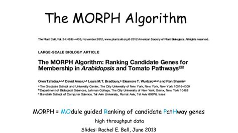 Ppt The Morph Algorithm Powerpoint Presentation Free Download Id