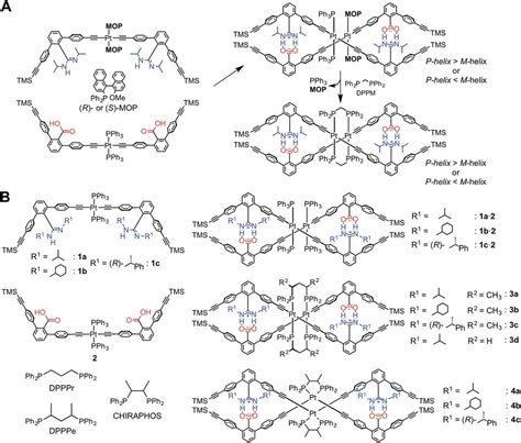 Scheme 1 Structures Of The Pt Ii Acetylide Linked Amidine And