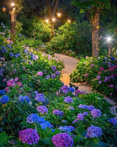 𝕄𝕒𝕤𝕚 Mhspringirl On X Beautiful Flowers Pictures Dream Garden