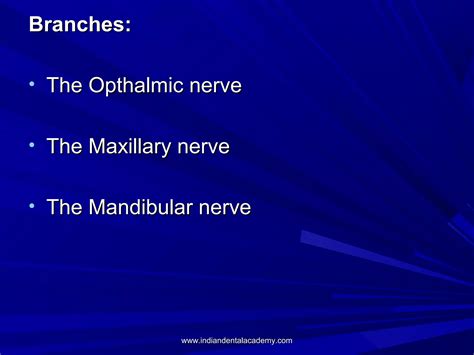 Trigeminal Nerve Dental Implant Courses Ppt