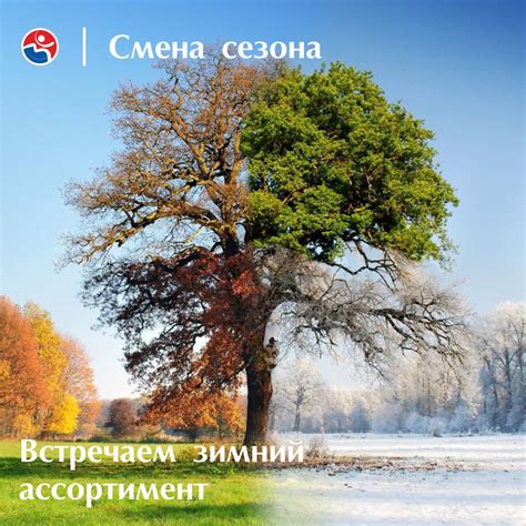 СпортМир экипировочный центр