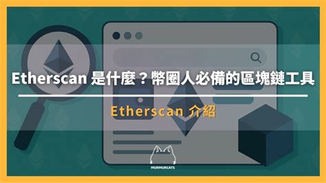 Etherscan 是什麼？從基礎查詢到進階追蹤，一文掌握以太坊瀏覽器使用方法 呢喃貓商學院murmurcats