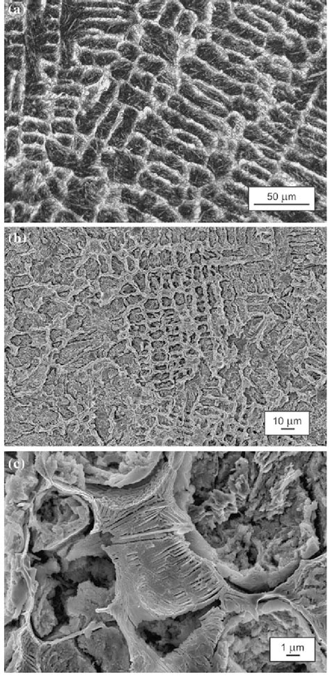 A Optical Micrograph Of The Dendritic Structure Of The As Cast Fe 86 7 Download Scientific