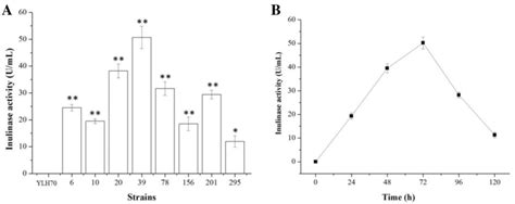 The Inulinase Activity Derived From The Aurantiochytrium Sp Wild