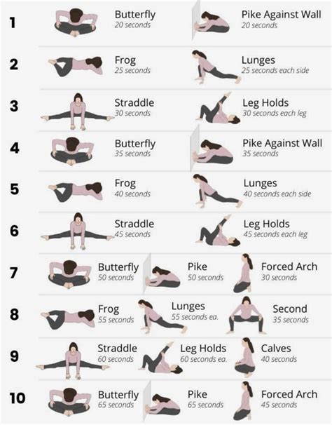 Pin By Basiami On Stretching Flexibility Routine Dance Flexibility Stretches Dancer Workout