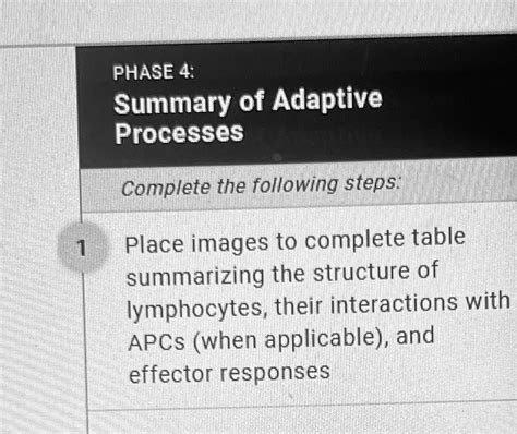phase 4 summary of adaptive processes complete the following steps