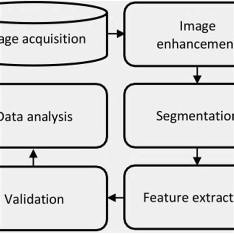 Steps Of The Image Analysis Process Download Scientific Diagram