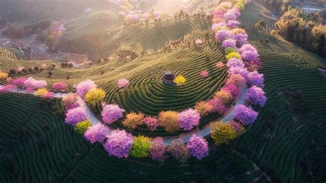 Clickhouse 查询优化详细介绍 古道轻风 博客园