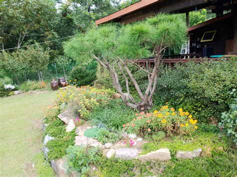 goodkook s place 2019