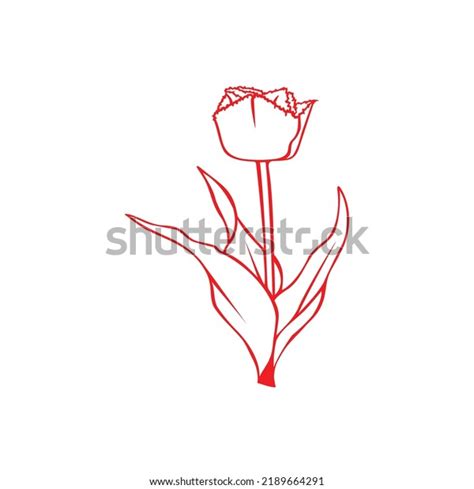 one line drawing red rose vector 库存矢量图（免版税）2189664291 shutterstock